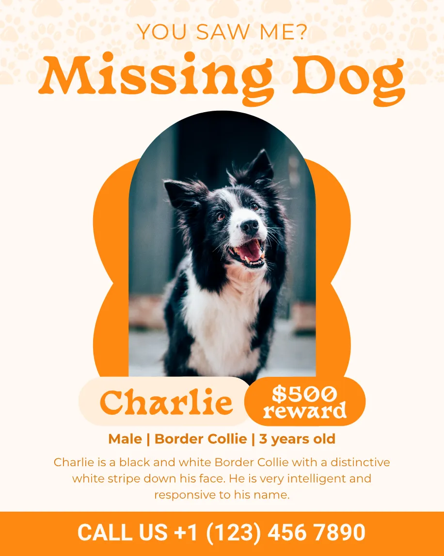 Free Lost Dog Flyer Templates for Fur Families - Kittl