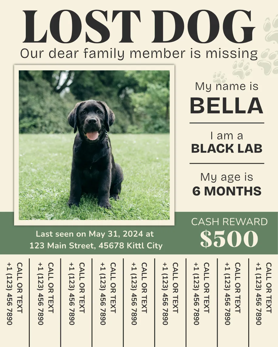 Free Lost Dog Flyer Templates for Fur Families - Kittl
